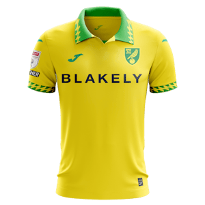 Kellen Fisher | Norwich City - Stoke City | MatchWornShirt