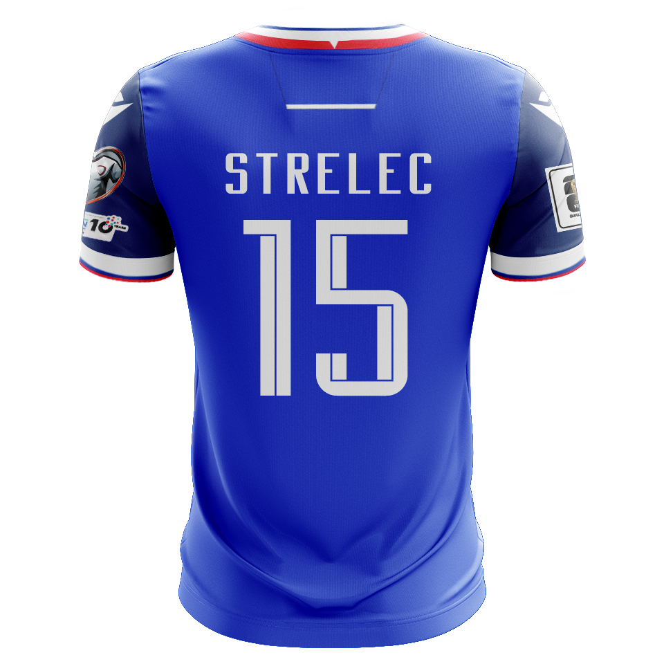 Dávid Strelec | Slovakia - Germany | MatchWornShirt