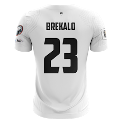 David Brekalo | Slovenia - Sweden | MatchWornShirt