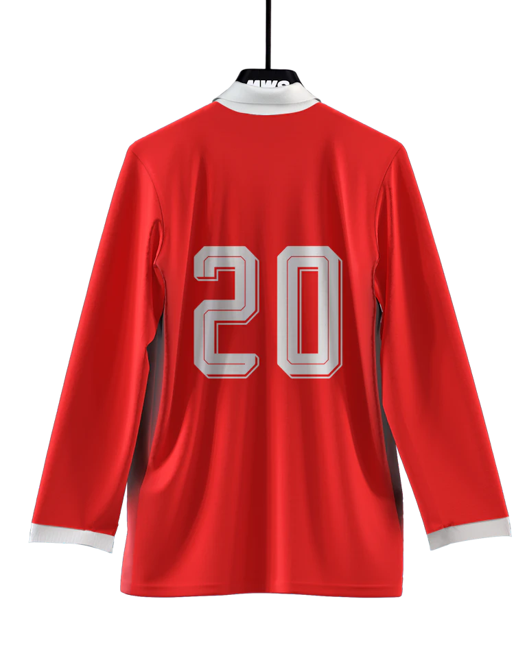 Daniel James | Wales - Ghana | MatchWornShirt